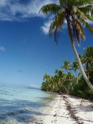 Cheap Flights From Samoa to French Polynesia From PHP 28,316 - Trip.com