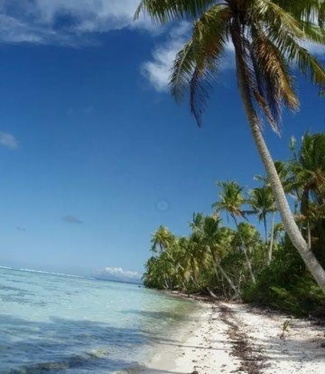 Windward Islands Independent Travel Guide (2025): Top Things to Do ...