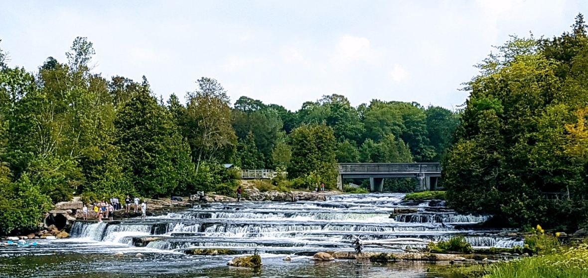 Things to do in Wiarton (2025): Top nearby activities,popular ...