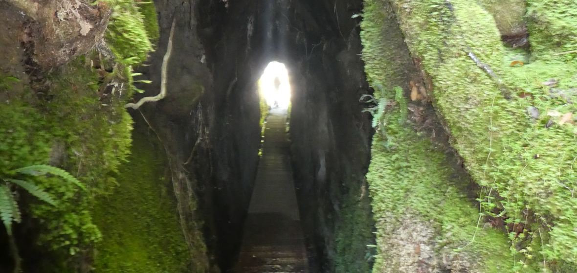 Things to do in Awatuna (2025): Top nearby activities,popular ...