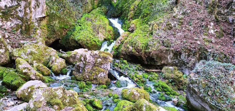 Ilirska Bistrica Travel Guide 2026: Top Attractions, Things to Do ...