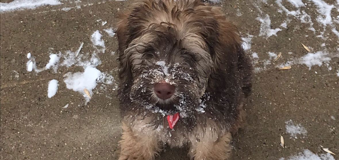 Things to Do in Moe Township in 2025 - Top Attractions, Local Food ...