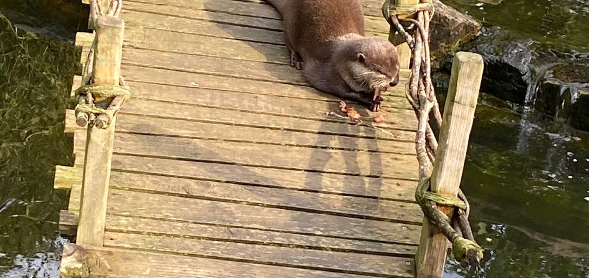 Things to do in Talaton (2025): Top nearby activities,popular ...