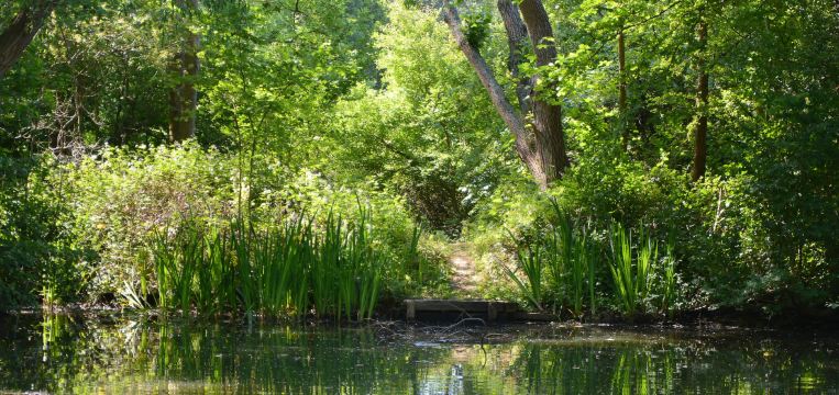 Brookmans Park Travel Guide 2026: Top Attractions, Things to Do & Deals ...