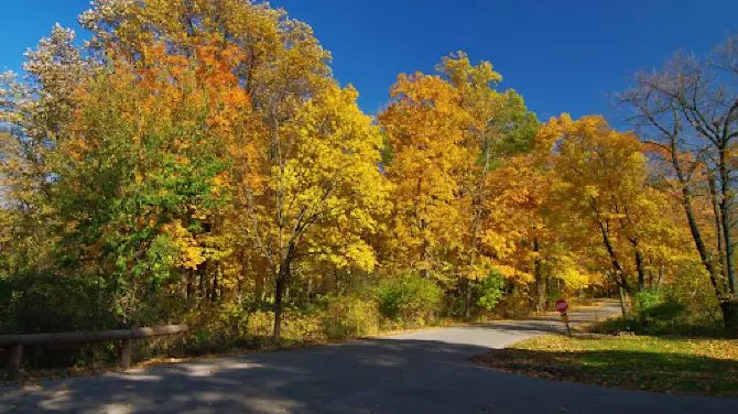 Fairgrounds Park Outdoor Roller Skating Rink Tickets [2026] - Promos ...