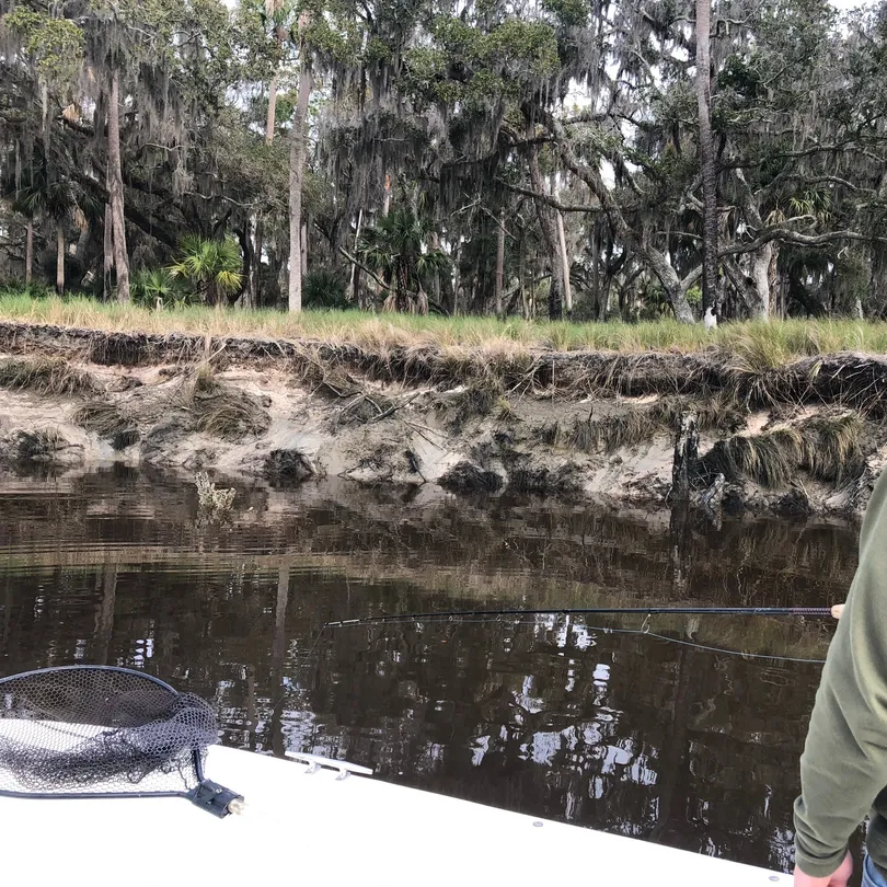 Captain David Newlin Fishing Charters Tickets [2025] - Promos, Prices ...