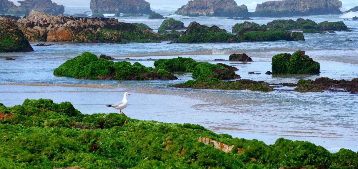 Wingan River Travel Guide 2025: Top Attractions, Things to Do & Deals ...