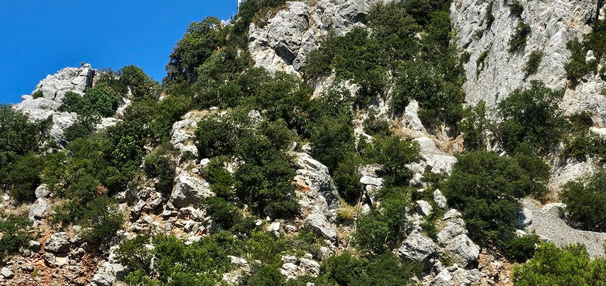 Things to do in Zaloggo (2025): Top nearby activities,popular ...