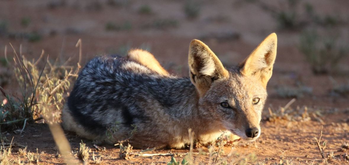 Naboomspruit Travel Guide 2025: Top Attractions, Things to Do & Deals ...