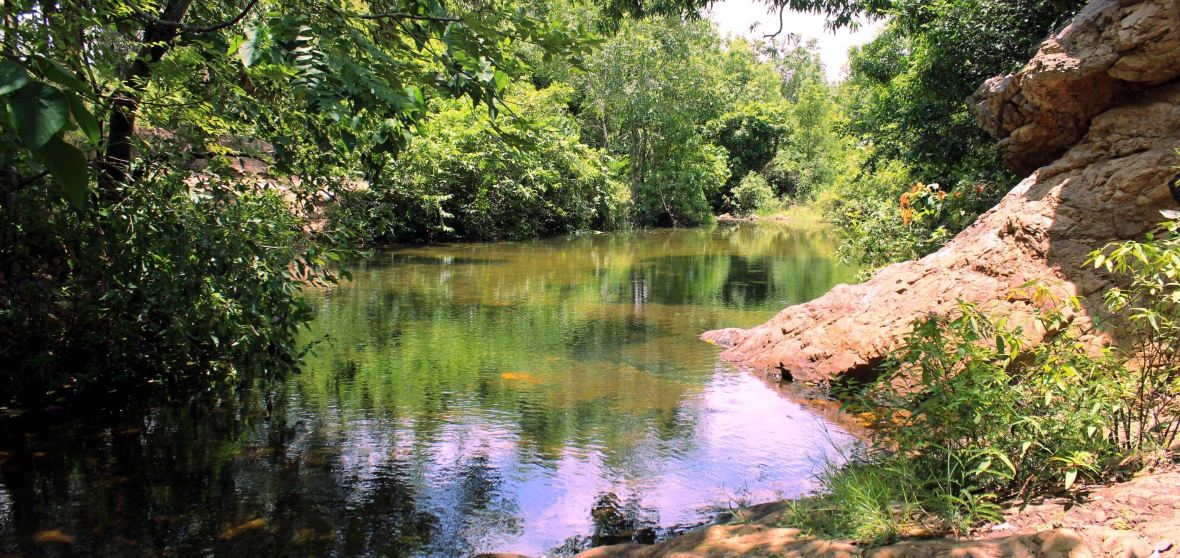 Tada Travel Guide 2025: Top Attractions, Things to Do & Deals | Trip ...