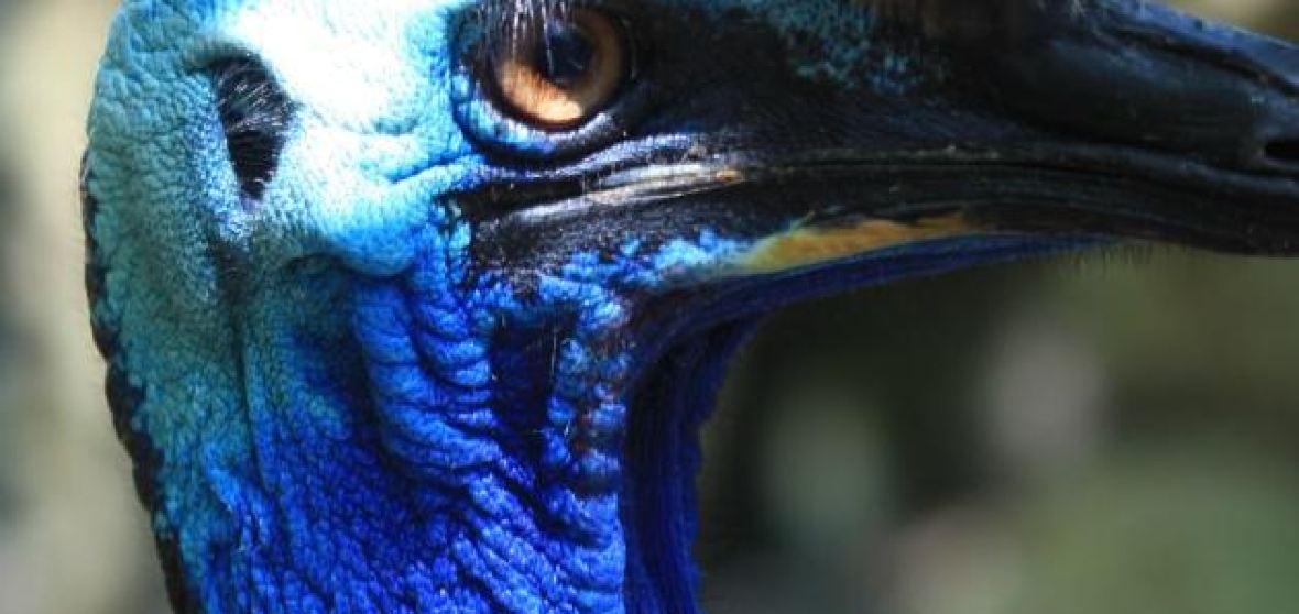 2025Julatten自由行旅遊懶人包：附近景點美食、飯店機票一日遊預訂 Trip.com (2025 年 12 月)