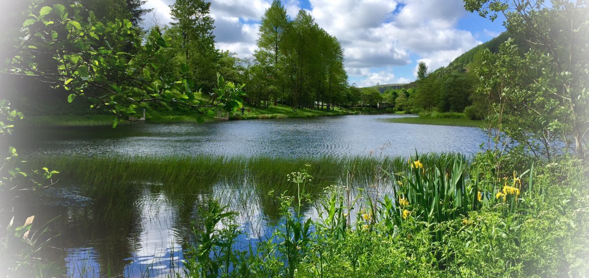 Cwmtillery Travel Guide 2026: Top Attractions, Things to Do & Deals ...