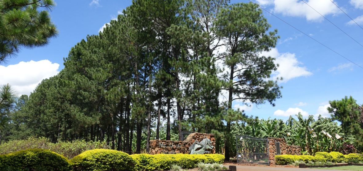 Things to do in Walkamin (2025): Top nearby activities,popular ...