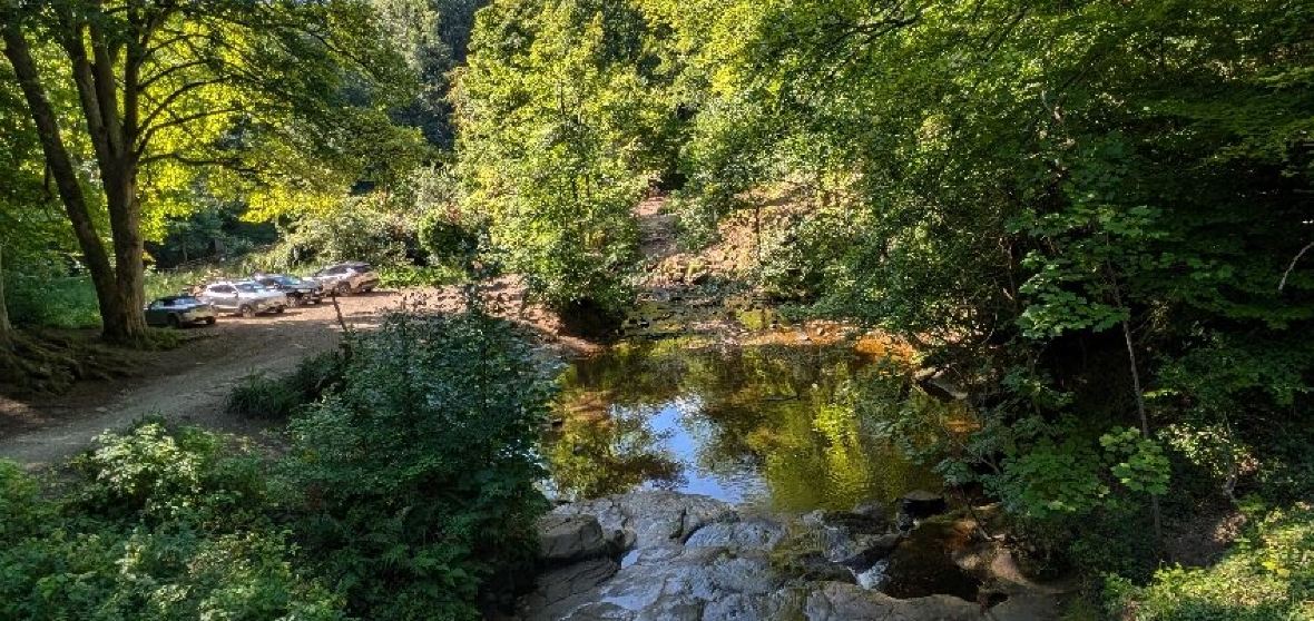 Sneaton Independent Travel Guide (2025): Top Things to Do Near You ...