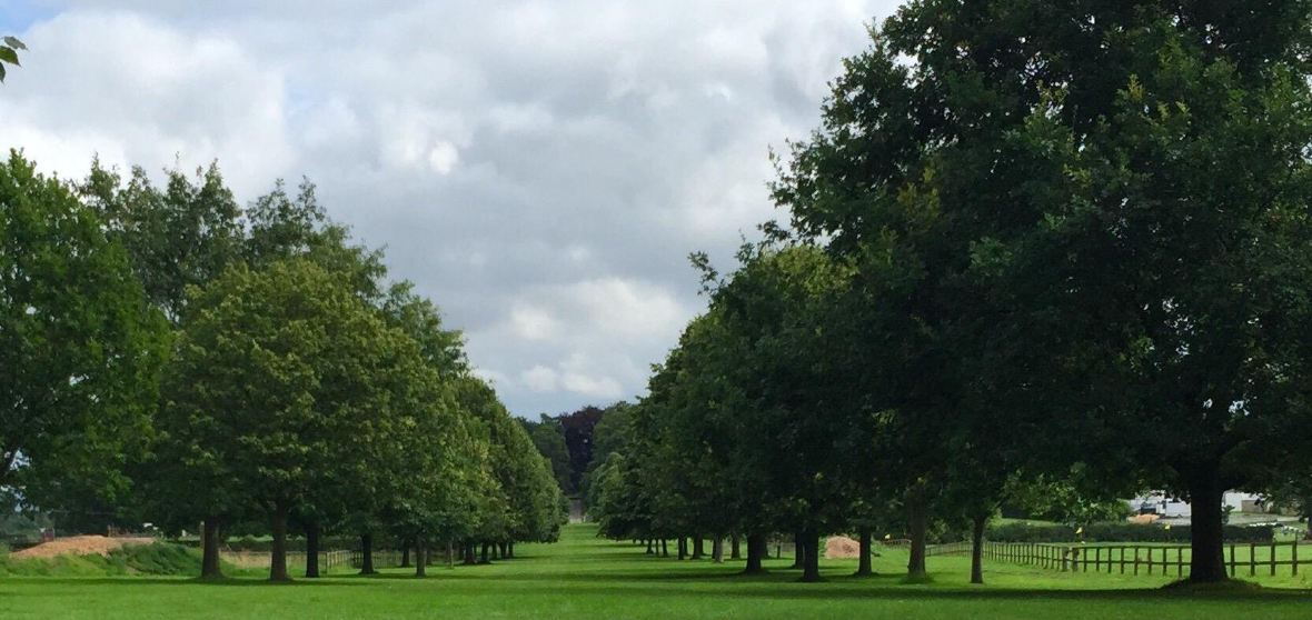 Things to do in Carthorpe (2025): Top nearby activities,popular ...