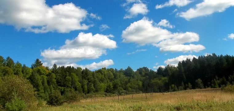 Things to Do in Lanark Highlands in 2025 - Top Attractions, Local Food ...