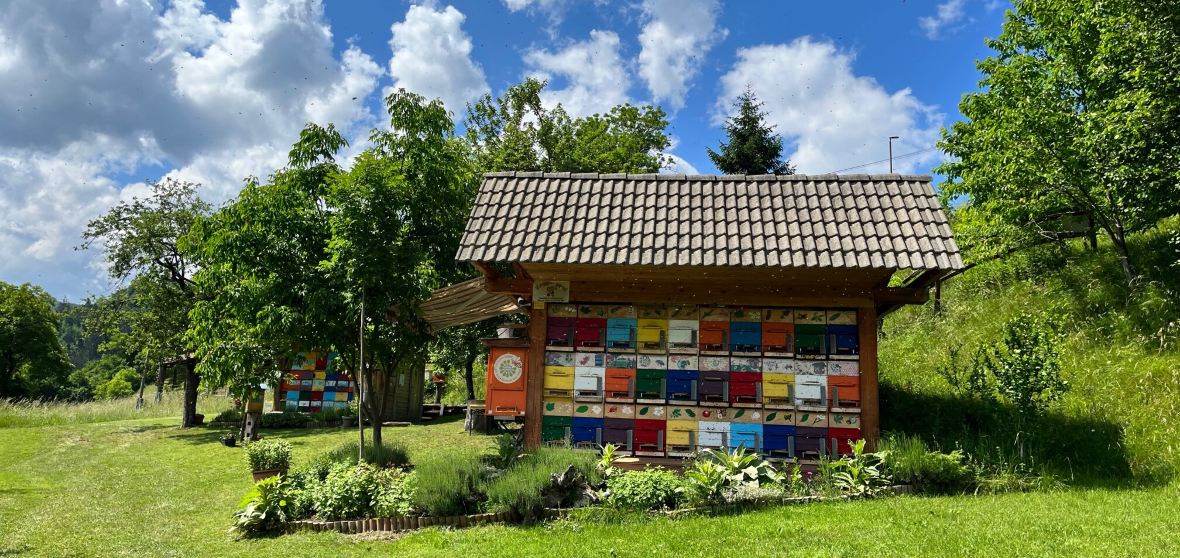 Things to do in Selo pri Bledu (2025): Top nearby activities,popular ...