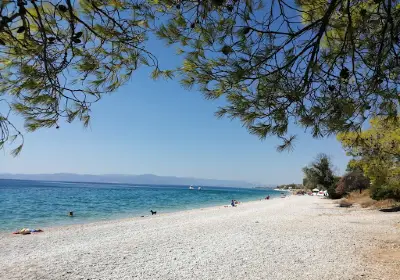 Kineta Beach Wakacje W Kinetta Beach Resort W Grecji Z Grecos Wczasy