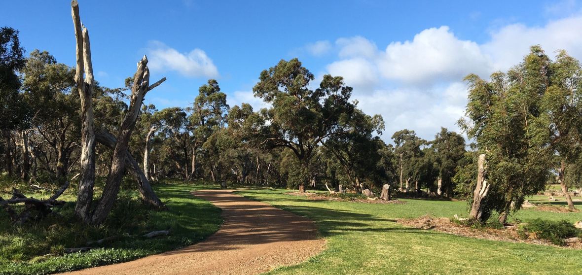 Things to Do in Cranbourne North in 2025 - Top Attractions, Local Food ...