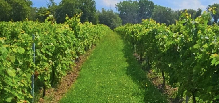 L'Acadie Travel Guide 2026: Top Attractions, Things to Do & Deals ...