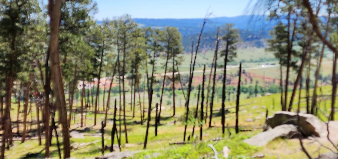 Crook County Travel Guide 2026: Top Attractions, Things to Do & Deals ...