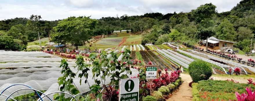 Things to do in Marilog (2025): Top nearby activities,popular ...