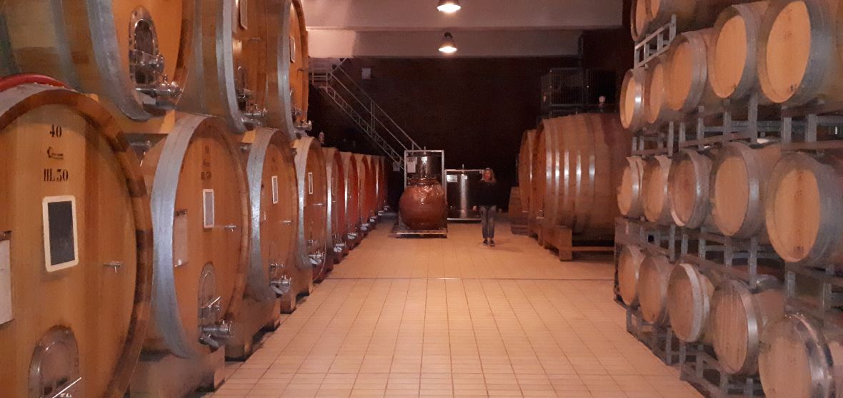 Things to do in Sinio (2025): Top nearby activities,popular attractions ...