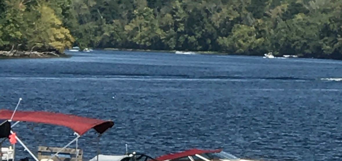 Things to do in South Hadley (2025): Top nearby activities,popular ...