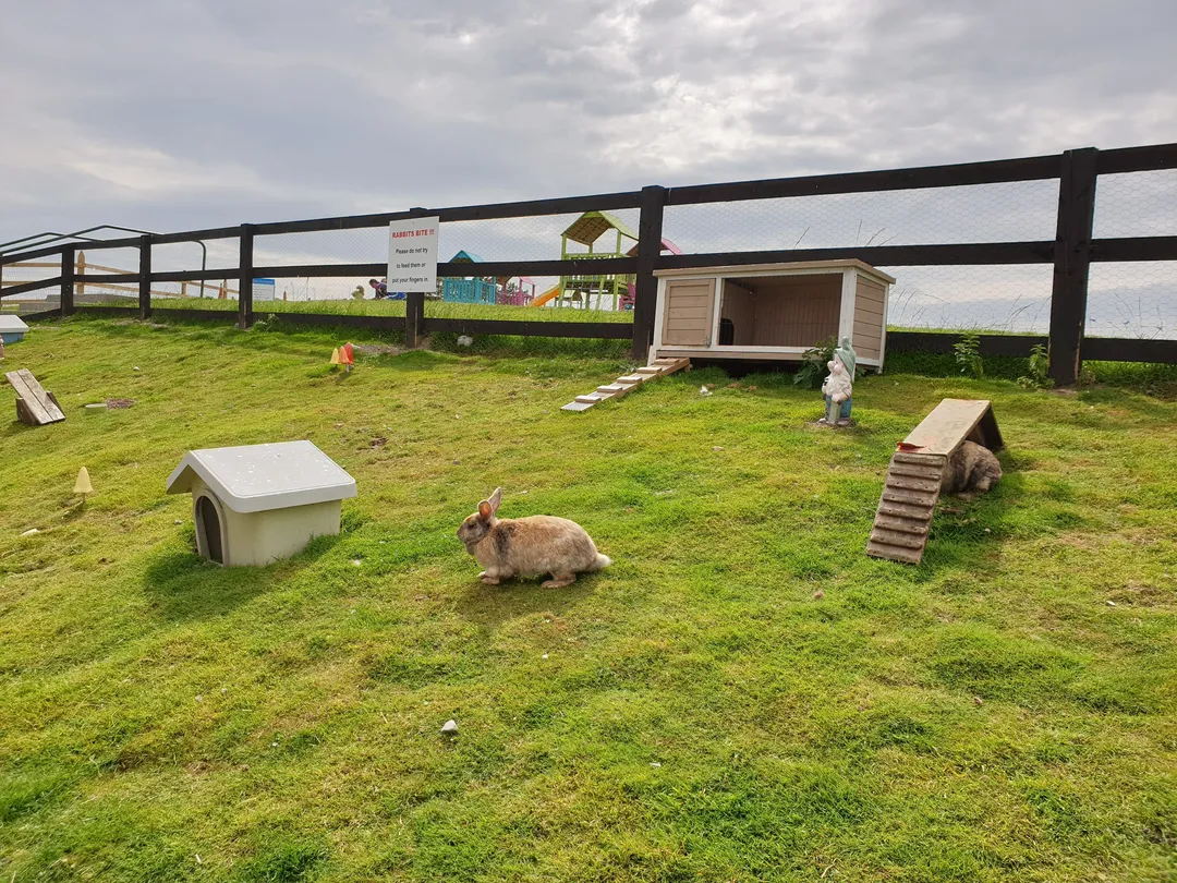 réductions sur les billets de Tearaways Pet Farm & Activity Centre ...