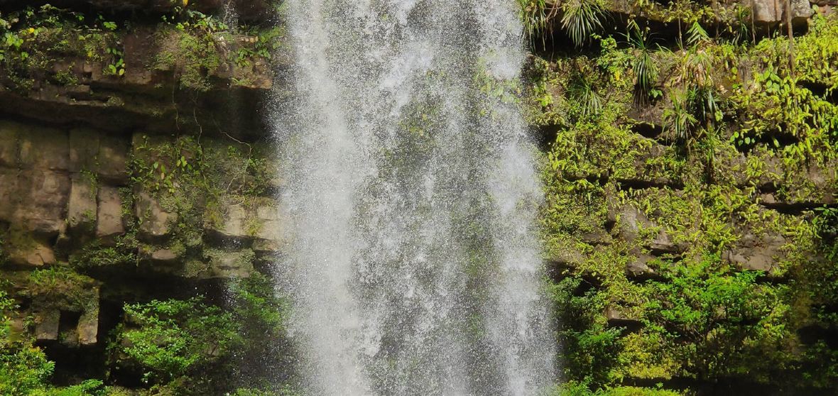 Things to do in Tongod (2025): Top nearby activities,popular ...