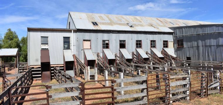 Carrathool Travel Guide 2025: Top Attractions, Things to Do & Deals ...