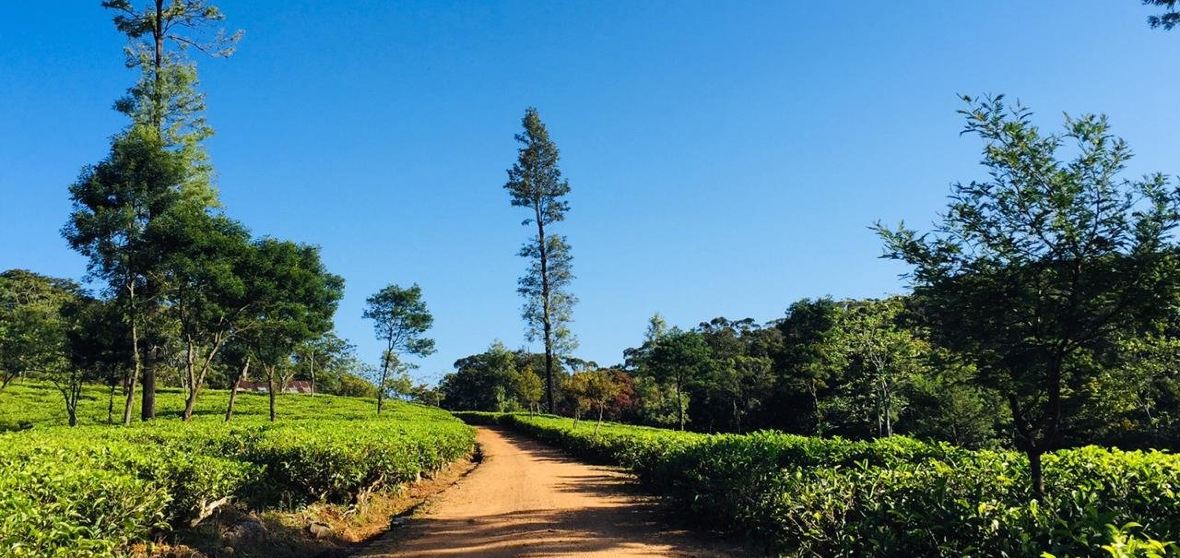 Rikillagaskada Travel Guide 2025: Top Attractions, Things to do ...