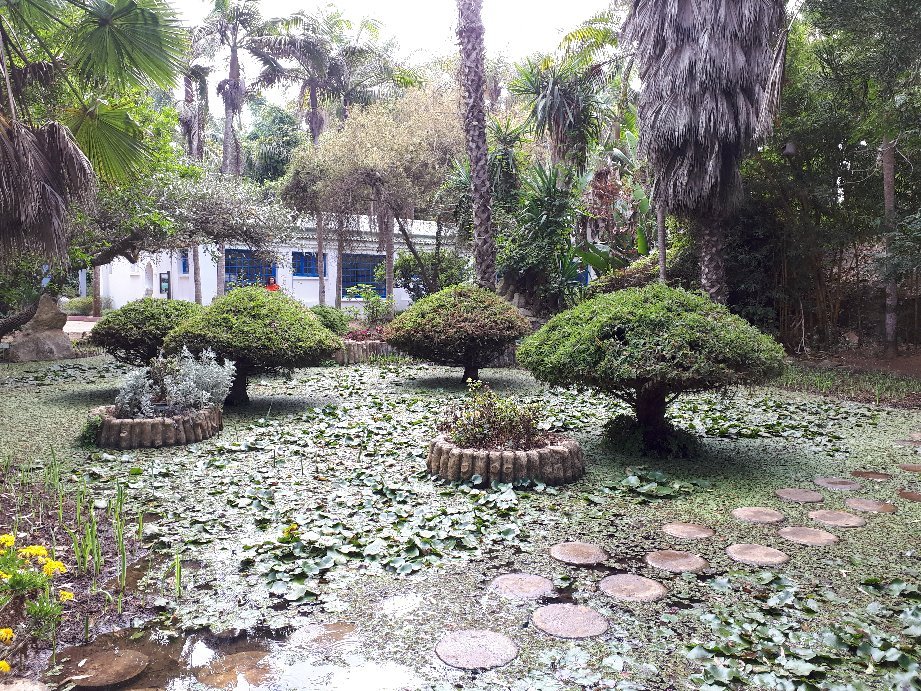 Les Jardins Exotiques de Bouknadel - Tickets, Opening Hours, Reviews ...