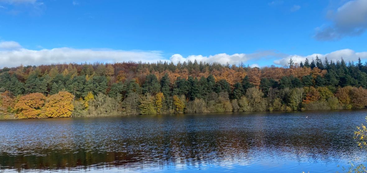 Things to do in Timble (2025): Top nearby activities,popular ...