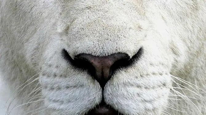 guang zhou dong wu yuan - bai shi Tickets [2025] - Promos, Prices ...