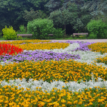 Park im. Jakuba Wagi Tickets [2026] - Promos, Prices, Reviews & Opening ...