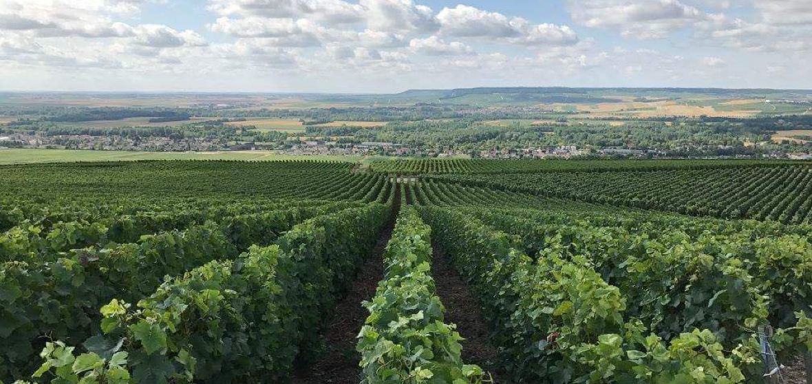 Mutigny Travel Guide 2025: Top Attractions, Things to Do & Deals | Trip ...