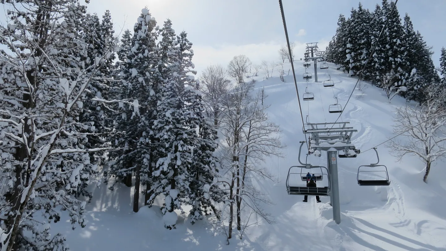 Tsunan津南滑雪場門票【2026】- 票券資訊、營業時間及評論｜Trip.com