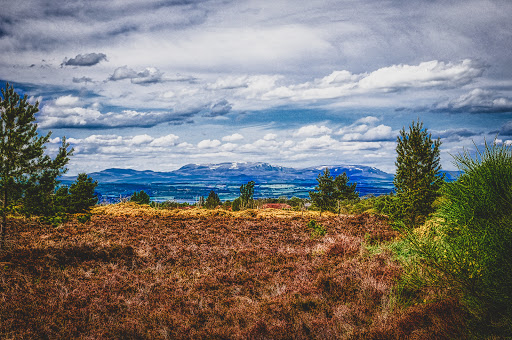 Daviot Woods Walk Car Park Tickets [2025] - Promos, Prices, Reviews ...