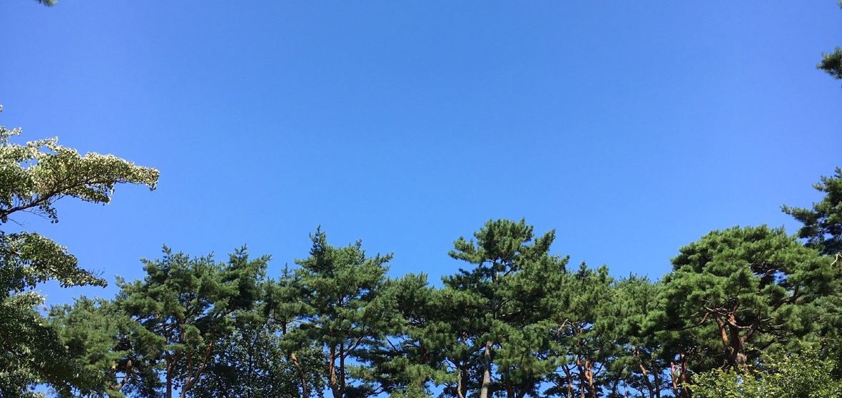 Things to do in Gochang-gun (2025): Top nearby activities,popular ...