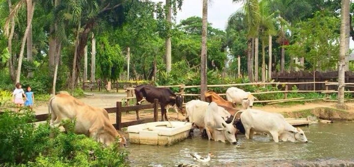 Cabuyao Travel Guide 2025: Top Attractions, Things to Do & Deals | Trip ...