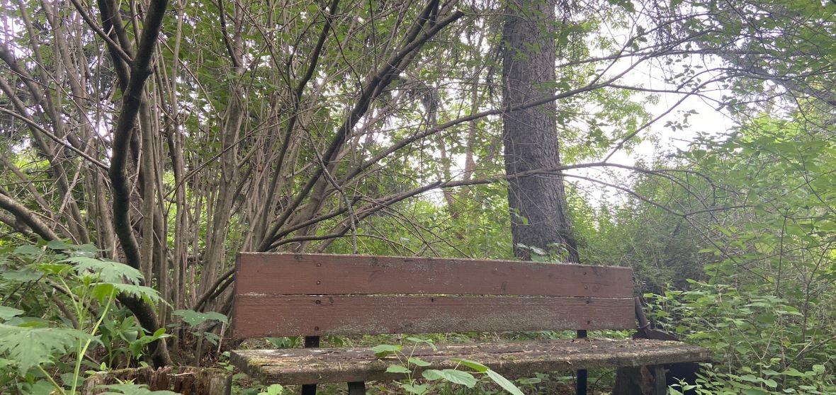 Things to do in Roblin (2025): Top nearby activities,popular ...