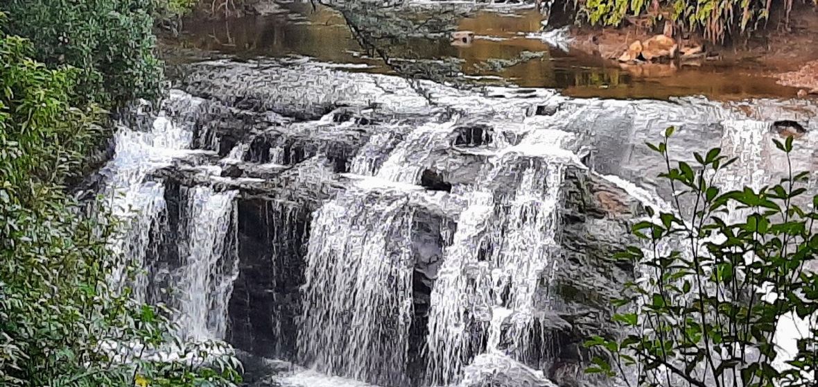 Things to do in Runanga (2025): Top nearby activities,popular ...