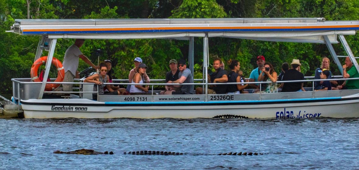 Lower Daintree Travel Guide 2026: Top Attractions, Things to Do & Deals ...