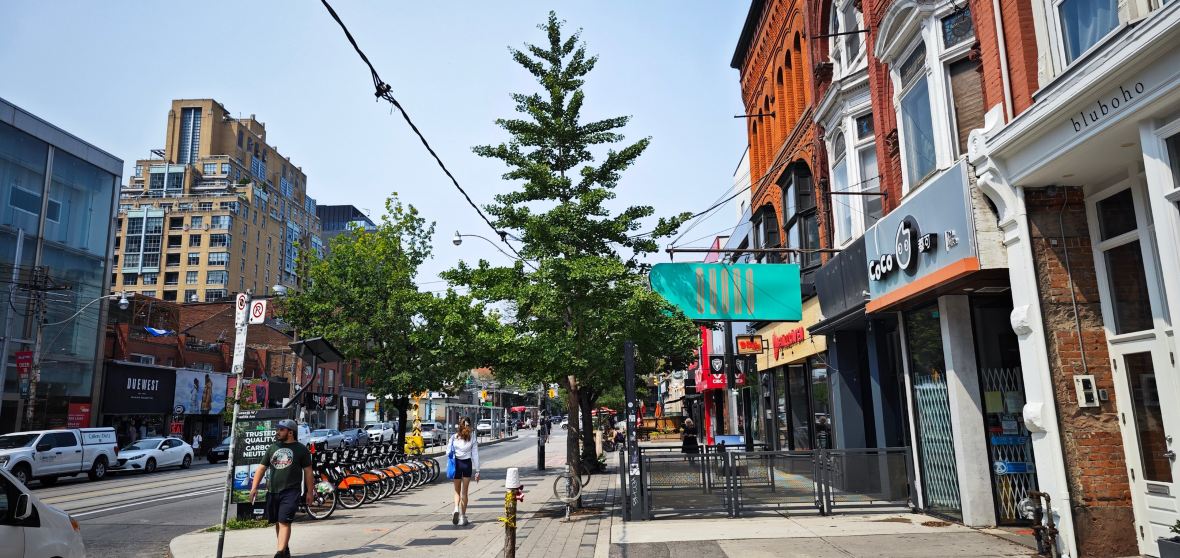 Trinity Travel Guide 2025: Top Attractions, Things to Do & Deals | Trip ...