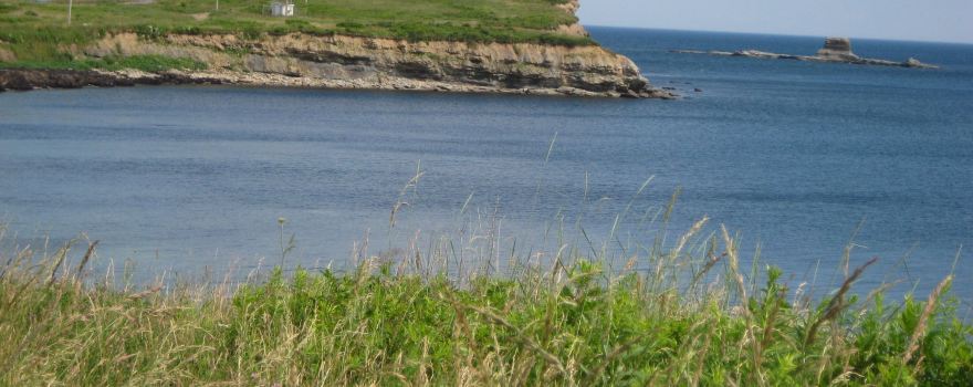 Things to do in Point Aconi (2025): Top nearby activities,popular ...