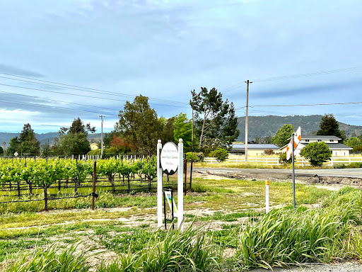 Windows XP 'Bliss' Hill Tickets [2025] - Promos, Prices, Reviews ...