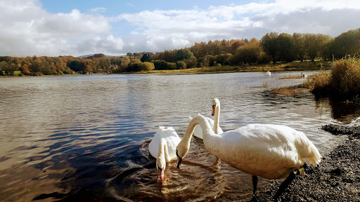 Poulaphouca reservoir aka Blessington Lakes Tickets [2025] - Promos ...