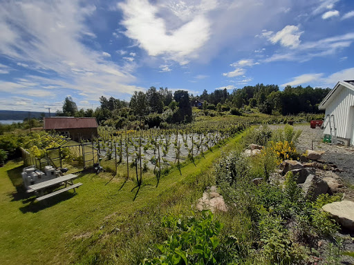Norsk Vin / Norwegian Wines門票【2025】- 票券資訊、營業時間及評論｜Trip.com