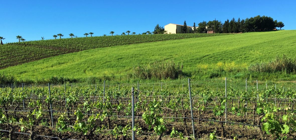 Camporeale Travel Guide 2026: Top Attractions, Things to Do & Deals ...
